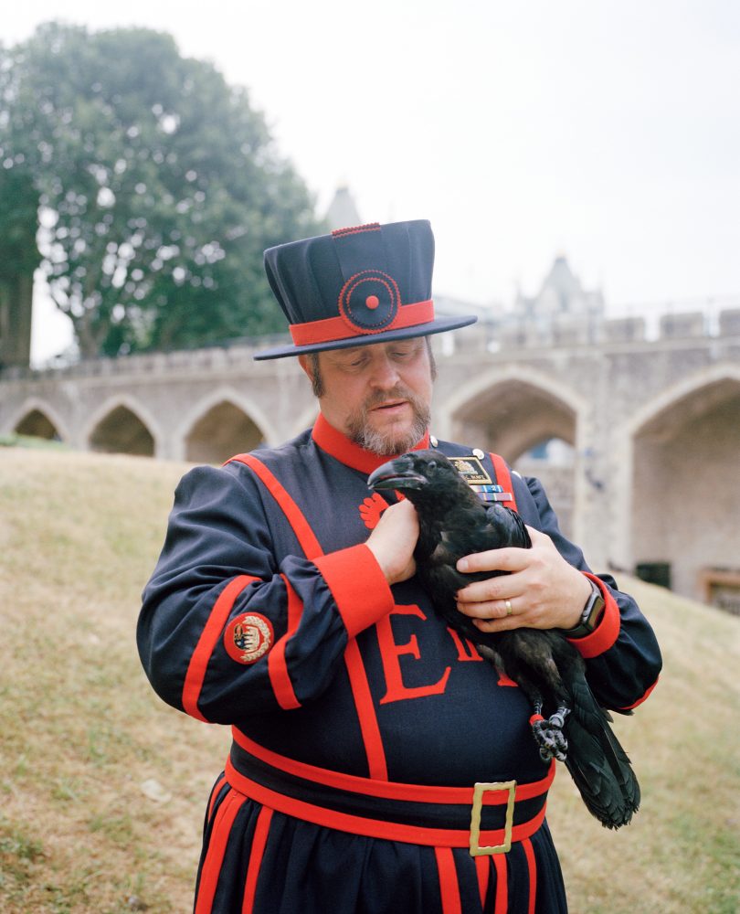 Portraits - Harry Mitchell